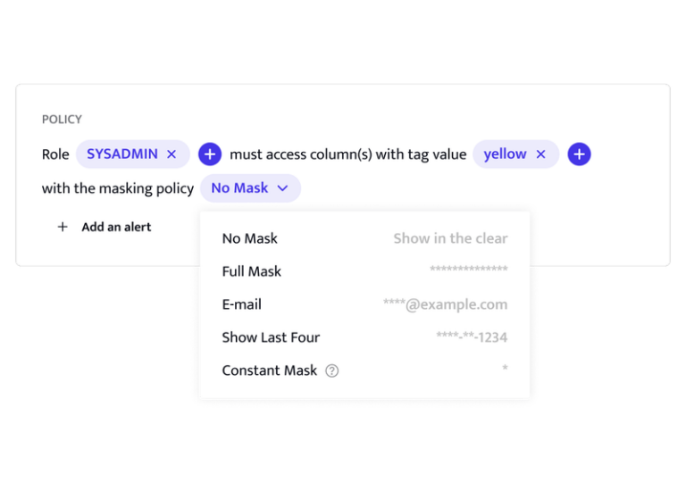 Dynamic Data Masking | ALTR