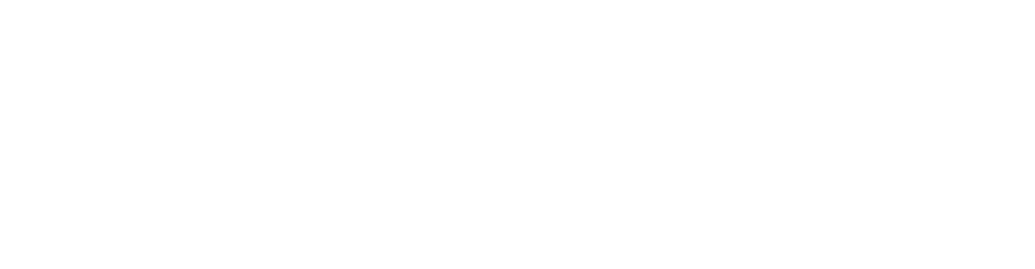 Databricks | Automated Data Access Control & Security